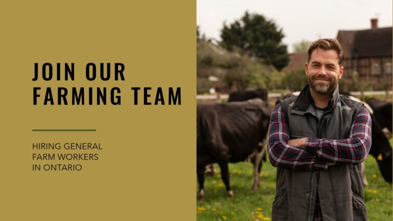 General Farm Worker in Ontario Canada For Foreigners with LMIA
