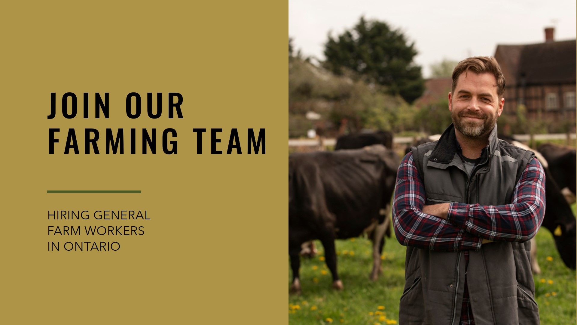 General Farm Worker in Ontario Canada For Foreigners with LMIA