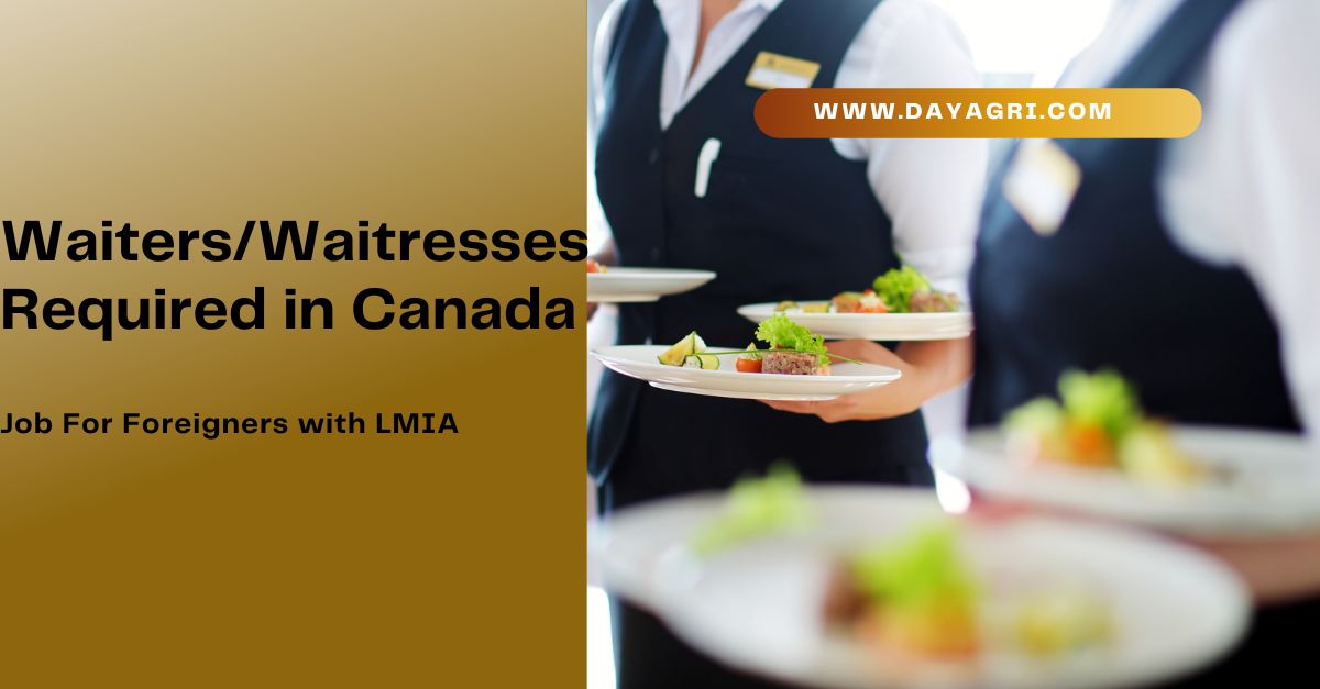 Waiters/Waitresses Required in Canada For Foreigners with LMIA