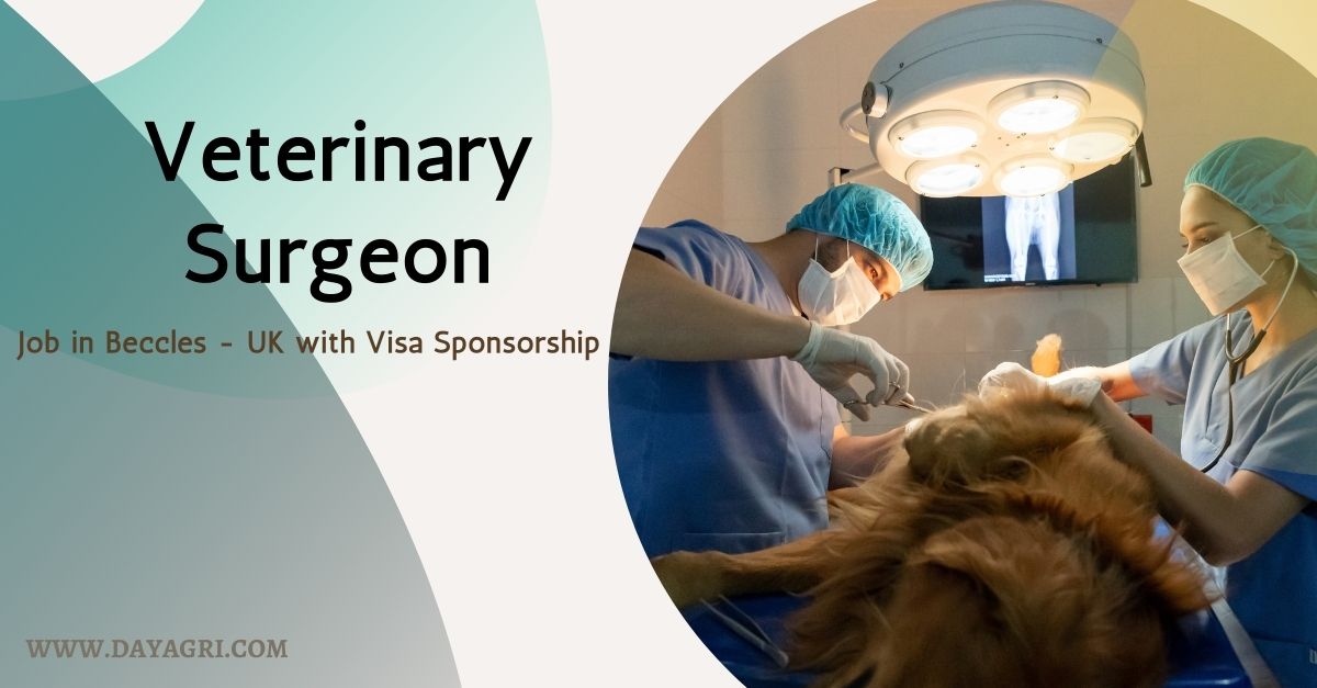 Veterinary Surgeon Job in Beccles – UK (Visa Sponsorship Available)