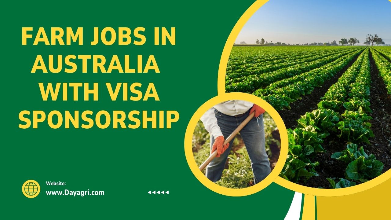 Top 20 Websites for Finding Farm Jobs in Australia with Visa Sponsorship